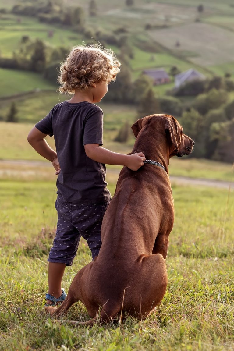 Animal Protection Act – Pets In Need Alberta